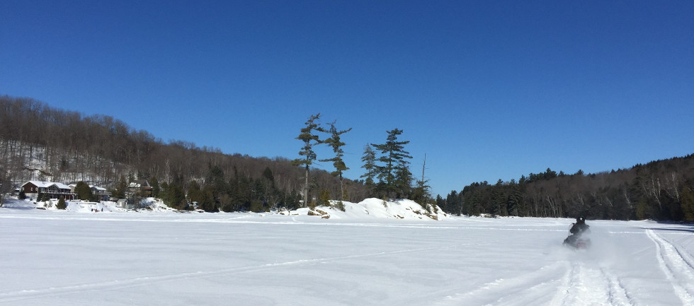 Chapter 15 | Bob Lake Association