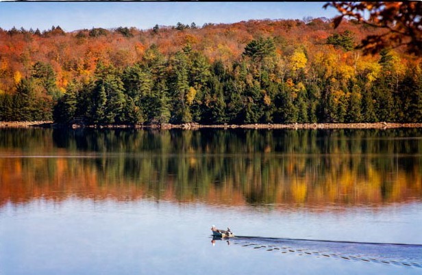 Chapter 17 | Bob Lake Association